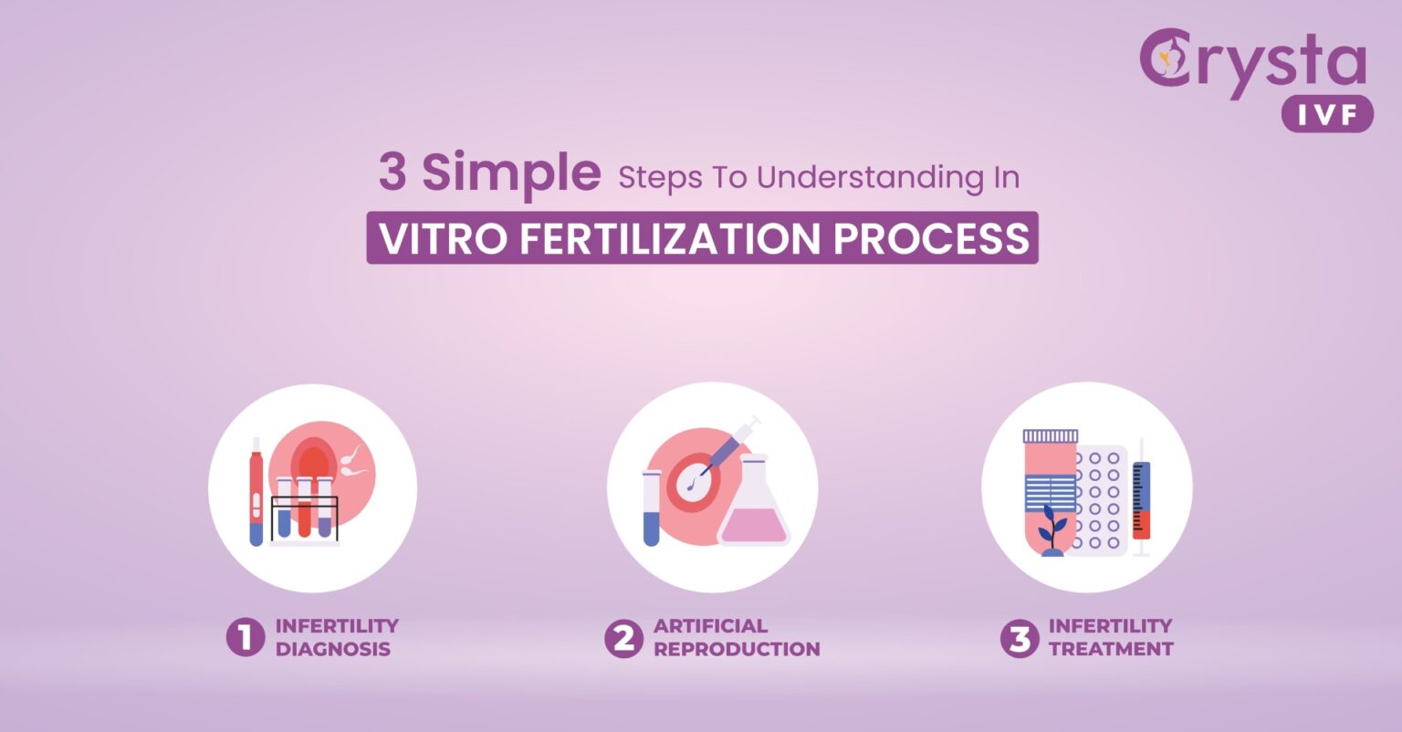 3 Simple Steps To Understand IVF process - Crysta IVF